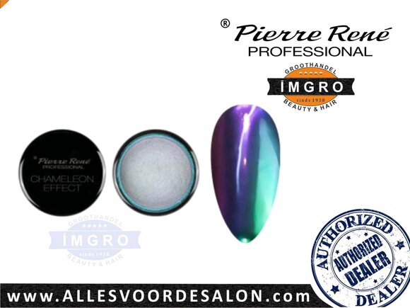Pierre Rene HYBRID Poeder tbv Chameleon Effect - UV-Colorgels - IMGRO ...