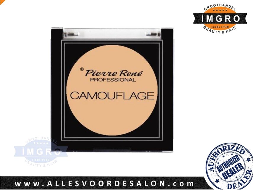 Pierre Rene Camouflage cream #01, 4 gr./op=op - IMGRO Beauty