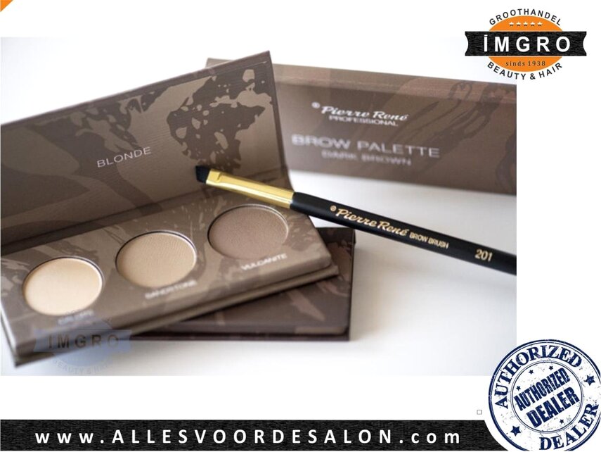 Pierre Rene Brow Pallet #01 Blonde - Eyebrow sets - IMGRO Beauty