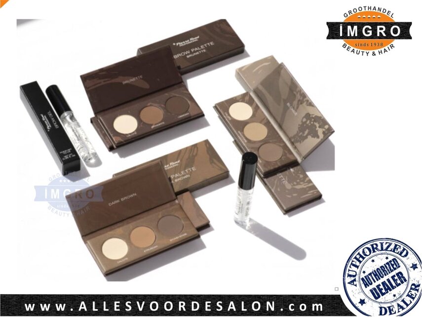 Pierre Rene Brow Pallet #01 Blonde - Eyebrow sets - IMGRO Beauty