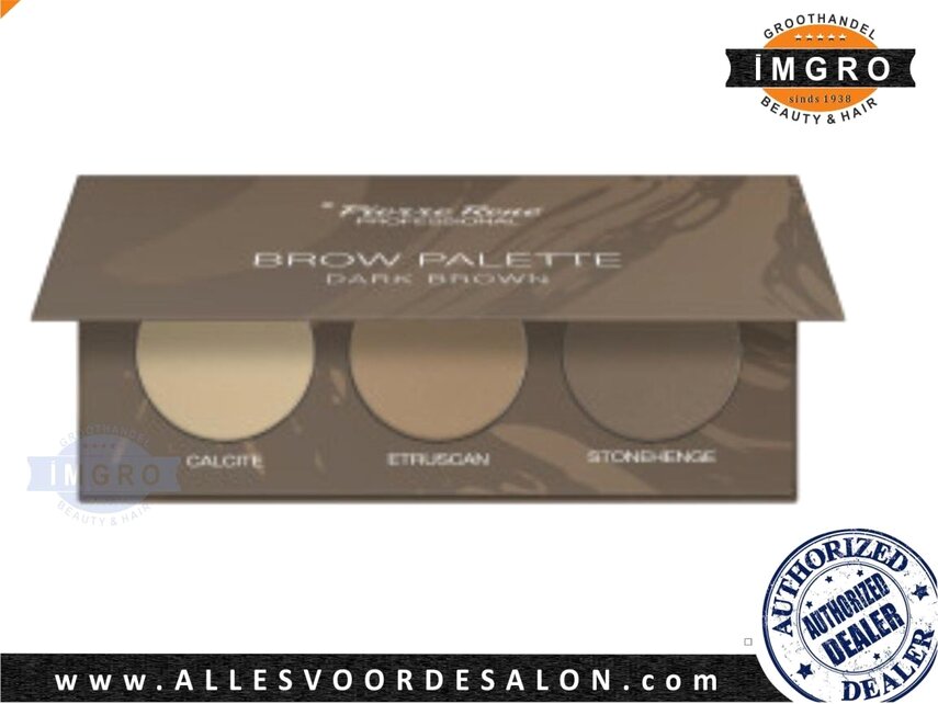 Pierre Rene Brow Pallet #02 Dark Brown - Eyebrow sets - IMGRO Beauty