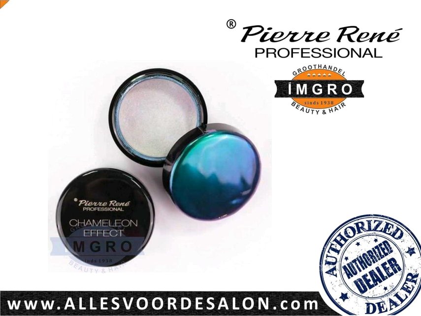 Pierre Rene HYBRID Poeder tbv Chameleon Effect - UV-Colorgels - IMGRO ...